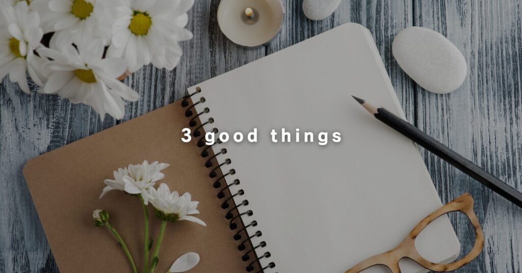 【3つのコツ】「3 good things」 いいこと日記が続かない人へ｜書くことがない日の対処法 | my santosa